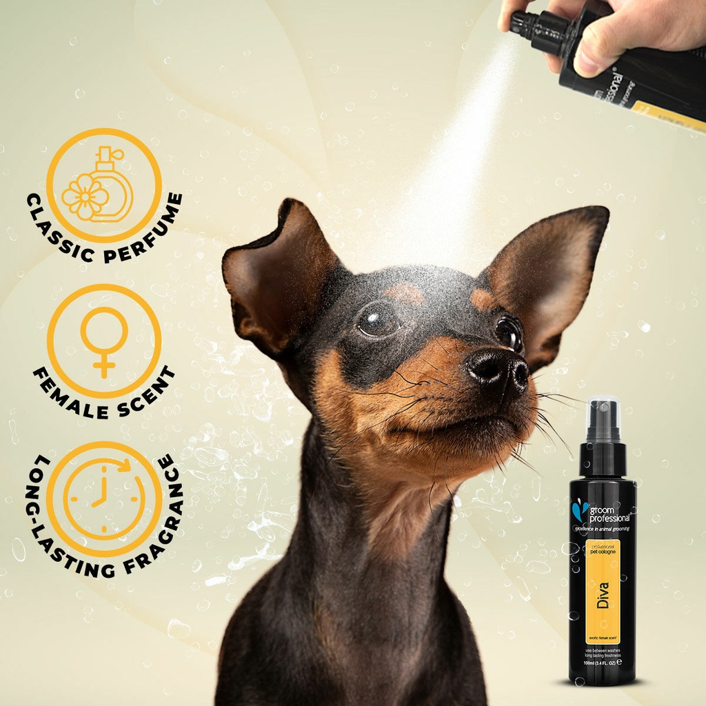 Groom Professional Diva Cologne (Perfume)[Volume - 100 ml, Flavor ...